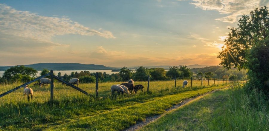 Tourisme rural - Tourisme-Durable.net